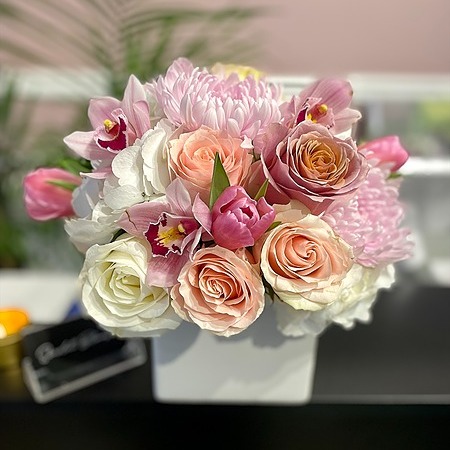 Scarlett Blooms | Linktree